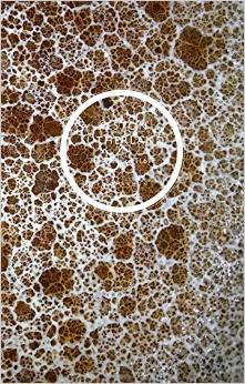 Summer Reading #2: Jeff Dolven Recommends… – Poetry @ Princeton
